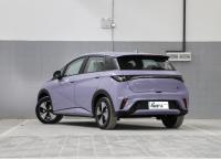 China Luxury Chinese Comfortable Sport New Energy Automatic Battery BYD EV Car Whale Pure Electric Vehicle for sale