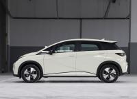 China Buy In Stock Chinese BYD EV Car Dolphin 5Seater Sedan 420Km Pure Electric Vehicle New Energy Car For Sale for sale