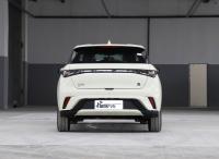 China Export Fast Ship Smart Sport Automotive Motor Power BYD EV Car Dolphin Whale Pure New Energy Electric Vehicle for sale