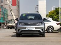 China Customizable BYD EV Car Dolphin Whale Pure New Energy Electric Vehicle for sale