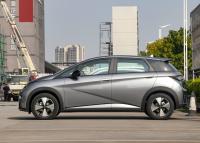 China Customizable BYD EV Car Dolphin Whale Pure New Energy Electric Vehicle for sale
