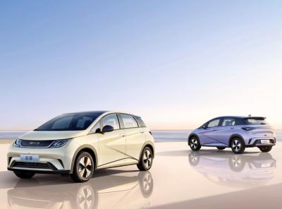 China Hot Selling New  Version Automatic High Speed BYD Whale Pure New Energy Electric Vehicle EV Car for sale