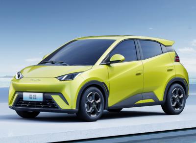 China Customizable Fashion Personalized Comfortable BYD EV Car Seagull New Energy Electric Vehicle Mini EV New Car for sale