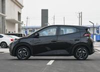 China 2024 ODM High Speed Sport BYD Seagull Sedan Pure New Energy Electric Vehicle Mini EV New Car for sale