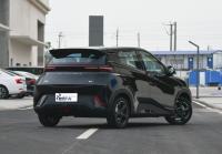 China Chinese Comfortable Sport New Energy Automatic Battery BYD EV Car Seagull Mini New Car for sale