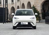 China Customizable Fashion Personalized Manufacturer Auto BYD EV Car Seagull Car for sale
