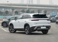 China Automotive Motor Power BYD EV Car Frigate 5Seater Hybrid SUV 100Km Electric Vehicle Gas EV New Car for sale