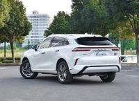 China Export Luxury Electric Vehicle Car Wey Mocha Hi4 5 Seaters SUV New Energy Hybrid Car for sale