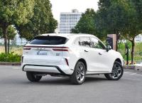 China Export Luxury Electric Vehicle Car Wey Mocha Hi4 5 Seaters SUV New Energy Hybrid Car for sale