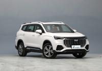 China Intelligent Technology Factory Sport Automatic Geely Car 5 Door 7 Seat SUV 2.0T 218Ps 160Kw 325Nm Oil Fuel New Car for sale