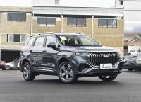 China New Version Personal Adult Geely Car SUV Gasoline Petrol Oil Fuel 2 WD Car for sale