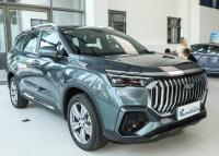 China Geely Car 5 Door 7 Seat SUV 2.0T Gasoline Petrol Oil Fuel New Car for sale