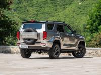 China Fast Shipping 5 Seat 2.0T Tank 400 SUV Smart Sport Black Red Interior 385Nm Torque 5 Door for sale