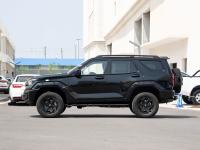 China 385Nm 185KW 252Ps 4WD 5 Seat 5 Door 2.0T Tank 400 SUV Petrol Fuel New Car for sale