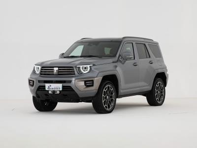 China 5 Seat 5 Door  3.0T Tank 700 SUV 800Nm 385Kw 163Ps 4WD New Energy Electric Vehicle Hybrid EV Gasoline Petrol Fuel New Car for sale