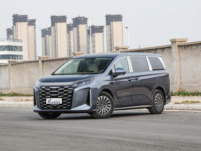 China Export Fast Ship Luxury Made In China New Version Latest BYD Xia MPV New Car for sale