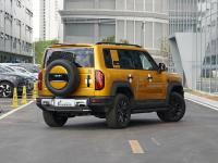 China Adult Personal Manufacturer Fang Cheng Bao 5 Hybrid 5 Seat SUV EV New Car for sale