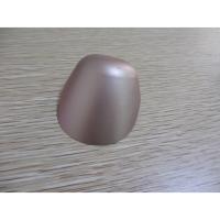 China Single shot injection molding/ electornic cover/material ABS/ paint for sale