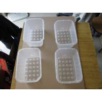 China Single shot injection molding/Plant seed Box/material PP HP-740T/ Natural/ Polish surface for sale