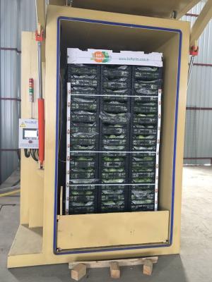 China Industrial Vacuum Cooler for Vegetables Flowers 500-6000kg Capacity Rapid Cooling for sale