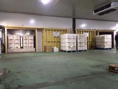 China Low Temperature Pre-Cooling Unit for Mushroom Processing - 20-30 Minute Cooling from 30°C to 3°C with Custom Sizes for sale