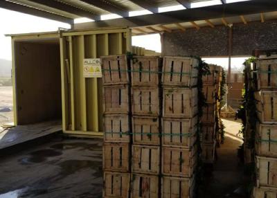 China Low Temperature Vacuum Cooler with PLC Control for Vegetables - 300-6000kg Capacity, 20-30 Minute Cooling for sale