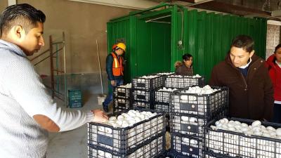 China Large Capacity Electrical Pre Cooling Unit 300-6000kg with PLC Control for Chemical Fiber Industry for sale