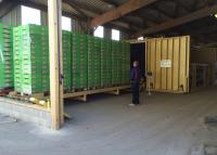 China Fresh Cut Flowers Vacuum Pre-Cooling Unit - 20-30 Minute Cooling from 30°C to 3°C with 300-500kg Capacity for sale