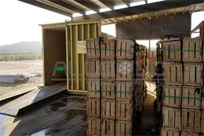 China Industrial Vacuum Cooling Machine 2 Pallets 1000kg Capacity for Vegetables Broccoli Mushroom for sale