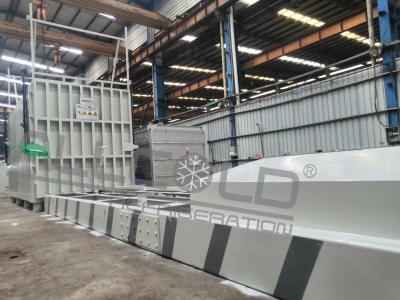 China 380V Agricultural Vacuum Cooler 6 Pallets Steel Chamber for Lettuce Mushroom for sale