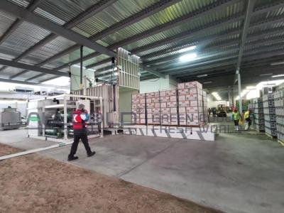 China Turf Leybold 121KW Herbs Vacuum Cooling Machine 8 Pallets for sale