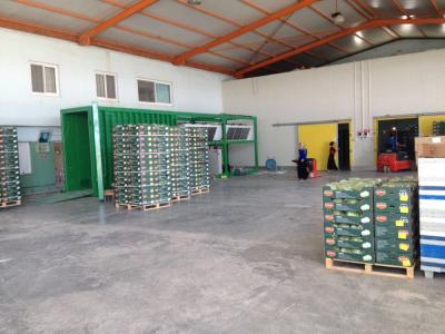 China 75kw Vegetable Vacuum Cooler R404A  PLC Vaporizing Moisture for sale