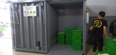 China 380V Agricultural Vacuum Precooling Chamber for Vegetables Lettuce 500-6000kg Capacity for sale