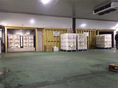 China 4 Pallet 2000kg PLC Vacuum Refrigeration Cooler for Fresh Mushrooms for sale