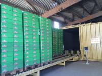 China Full Automatic PLC Controlled Vacuum Cooler for Vegetables 500-6000kg Capacity for sale