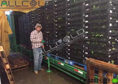 China Leybold Vacuum Cooling Machine 6 Pallets AVC-3000 Model for Agriculture Produce with 98kW Power for sale