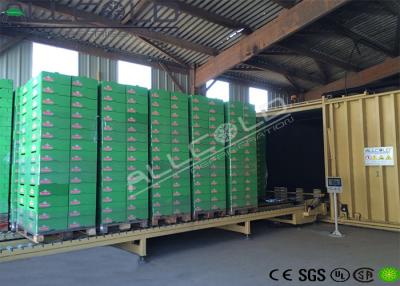 China Cabbage Vacuum Cooling Equipment with Danfoss Parts - 300-6000kg Capacity, 20-30 Minute Cooling for sale
