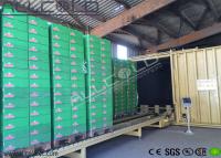 China AVC-3000 Vacuum Cooling Machine for Leafy Vegetables - 6 Pallet Capacity, 98kW Power, Rapid 20-30 Minute Cooling for sale