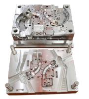 China HASCO Standard 2 Cavity Injection Mold For Plastic Auto Parts for sale