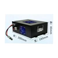 China 12V / 24V 40ah 60ah 80ah 100ah Large Capacity Lithium Battery for Four-Wheel Small Forklift Outdoor Activities for sale