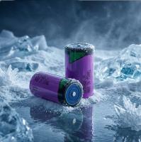 China Original TADIRAN SL-2780 3.6V 19Ah D Size Lithium Thionyl Chloride Battery for Extreme Environments -55°C to +85°C for sale