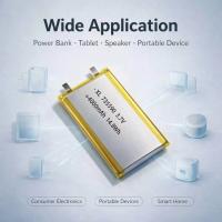 China In Stock 735590 3.7V 4000mAh Li-Polymer Battery Large Capacity Double Tabs  Power Bank Replacement Cell for sale