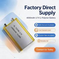 China In Stock 735590 3.7V 4000mAh Li-Polymer Battery Large Capacity Double Tabs  Power Bank Replacement Cell for sale