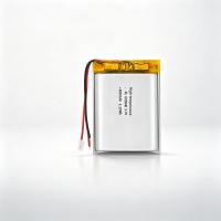 China Wholesale 603040 Li-Po Battery 3.7V 600mAh High Temperature Resistance Soft Pack Lithium Polymer Battery for sale