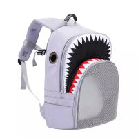 China Breathable Portable Cat Pet Carrier Backpack Animal Pattern Waterproof for sale