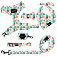 China Comfortable Pet Harness Set Vest Outdoor Pet Chest Traction Rope Leash for sale