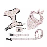 China Polyester Dog Harness Set Custom Comfortable Pet Cat Harness And Leash Set for sale