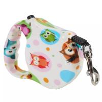 China Luxury Comfort Pet Collars Leashes Outdoor Retractable Dog Leash for sale