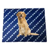 China Manufactured Pet Cooling Mat Multi Size Available Ice Pad For Pet Dog Cat for sale