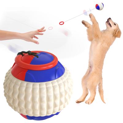 China Hand Throwing Interactive Pet Toys Molar Teeth Dog Training Ball 80g OEM for sale